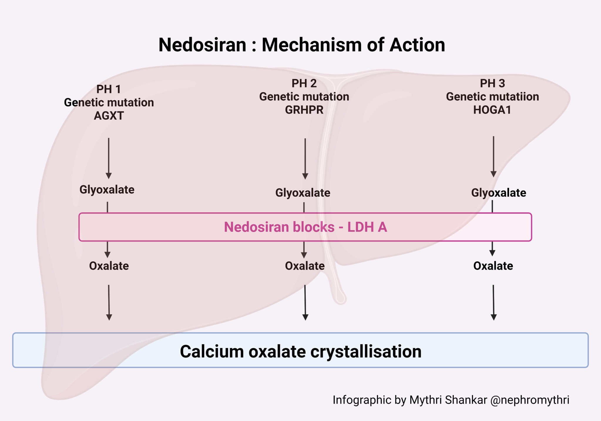 Infographics – Dr.Mythri Shankar